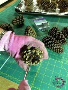 Prepare Pine Cones for Wreaths